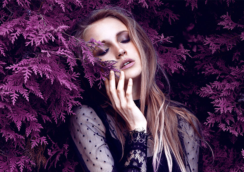 Purple - Arya Studio